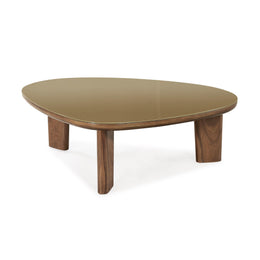 Oani 46" Walnut and Glass Triangular Coffee Table | TOV Furniture