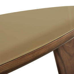 Oani 46" Walnut and Glass Triangular Coffee Table | TOV Furniture